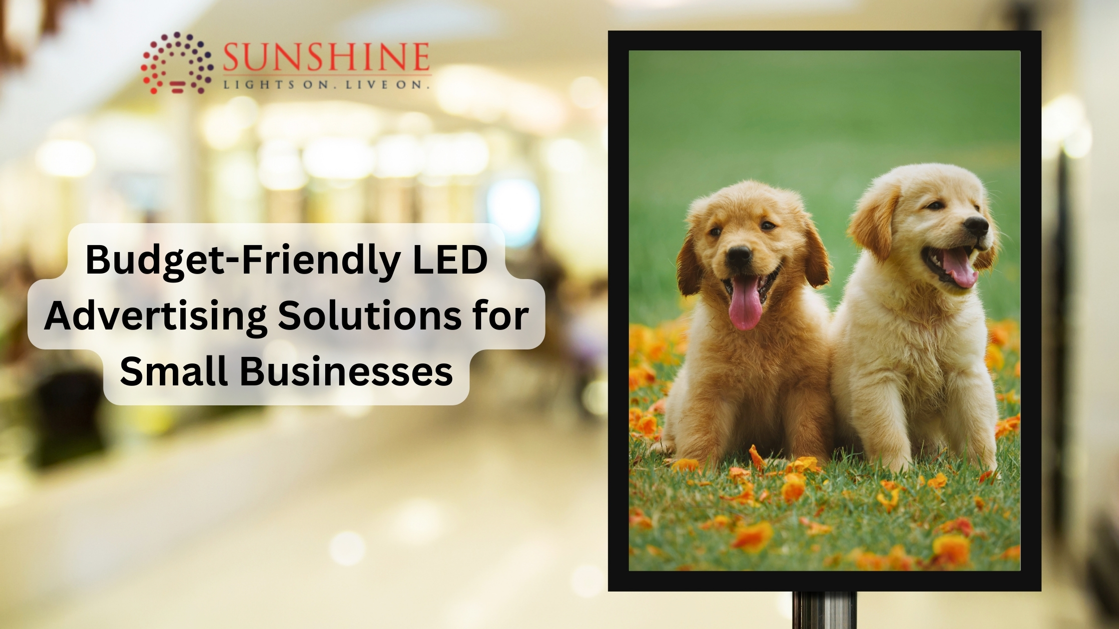 Budget-Friendly LED Advertising Solutions for Small Businesses